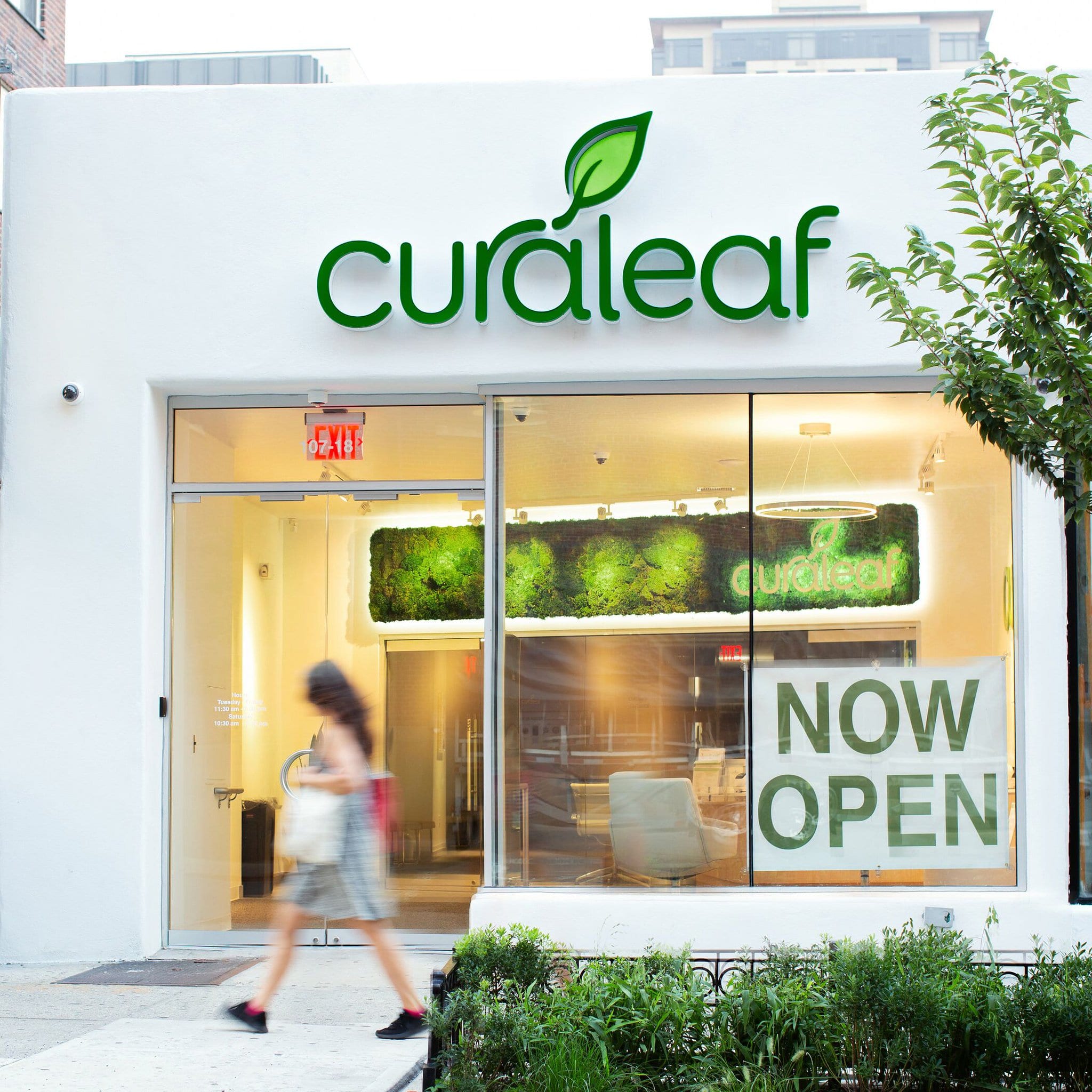 Curaleaf Tumbles After FDA Sends Warning on CBD Marketing - Mugglehead ...