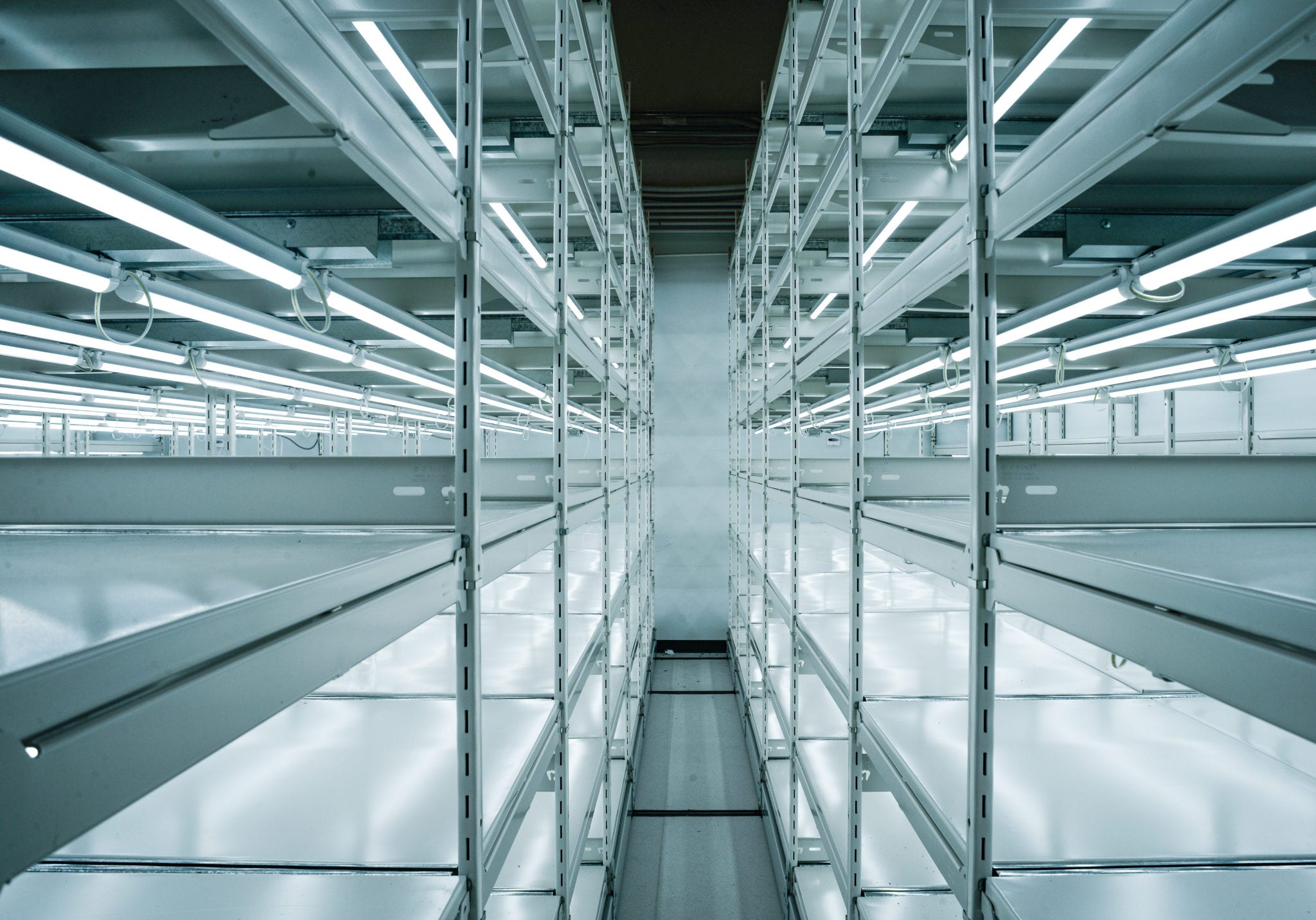 Segra granted nursery licence, moves forward with hyper-efficient ...