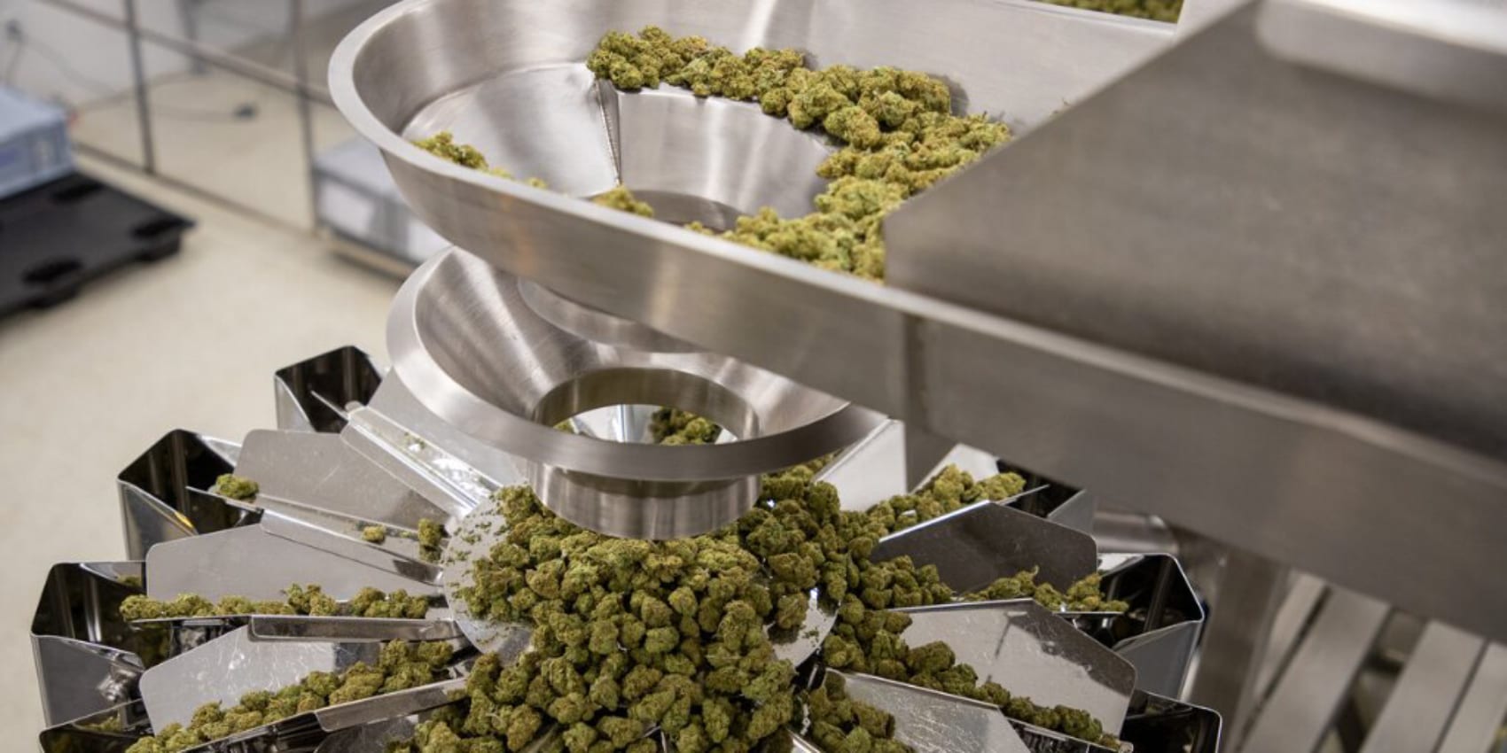 Canadian pot industry could take lessons from Colorado's success ...