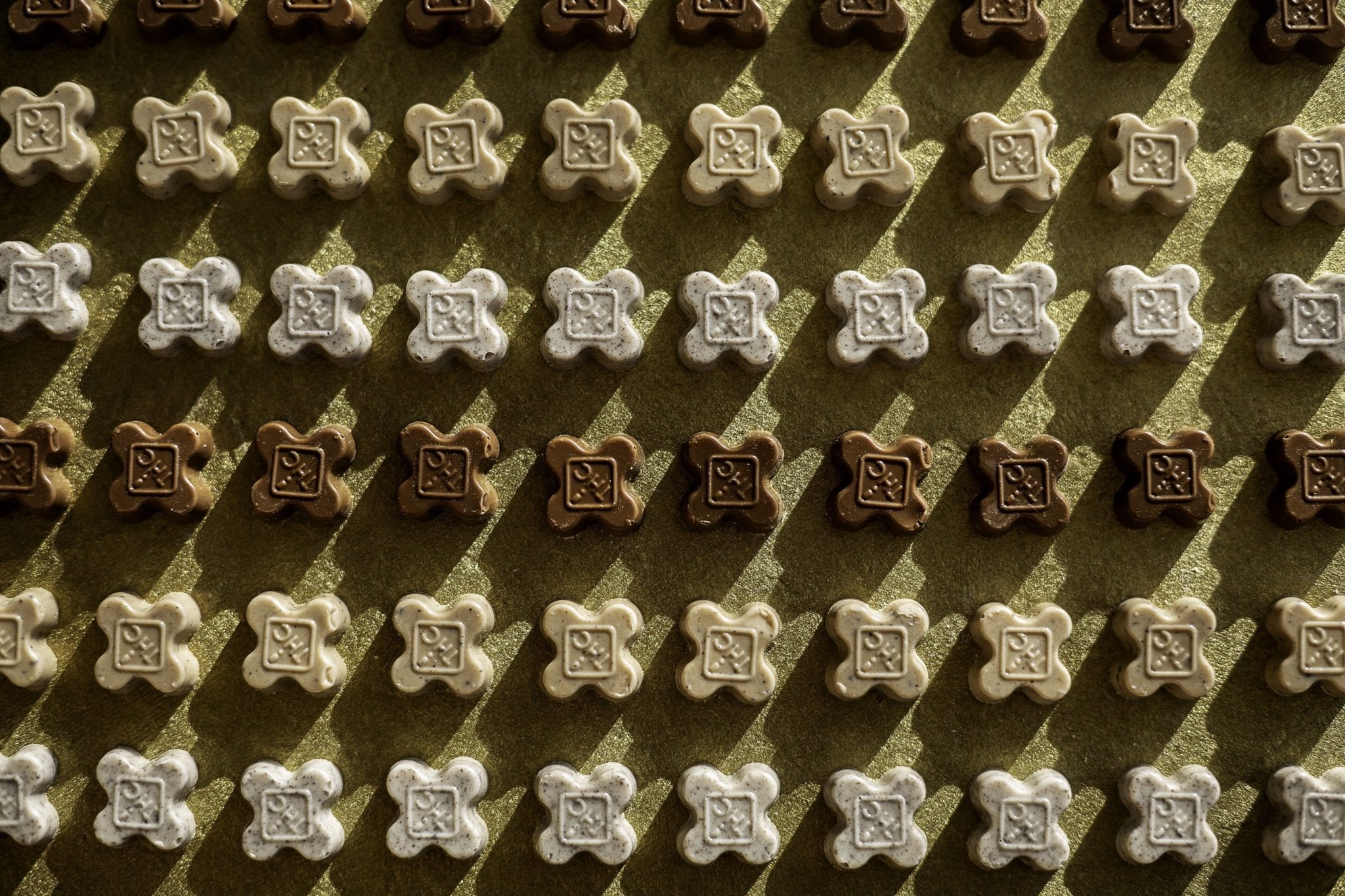 Slang Worldwide launches new THC-infused edible line - Mugglehead ...