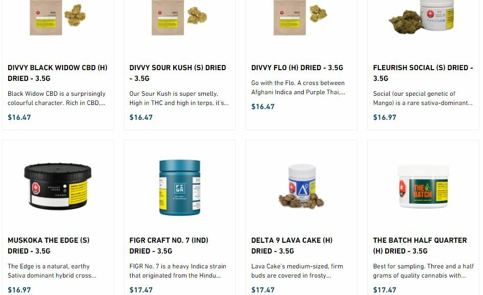 Value Buds' low-cost model spikes sales for Nova Cannabis - Mugglehead ...