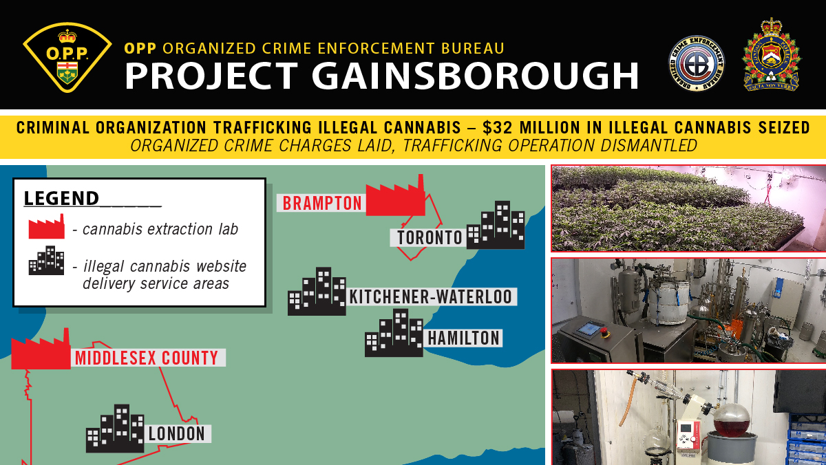 $32M in illicit weed seized and 21 arrested in Ontario bust ...