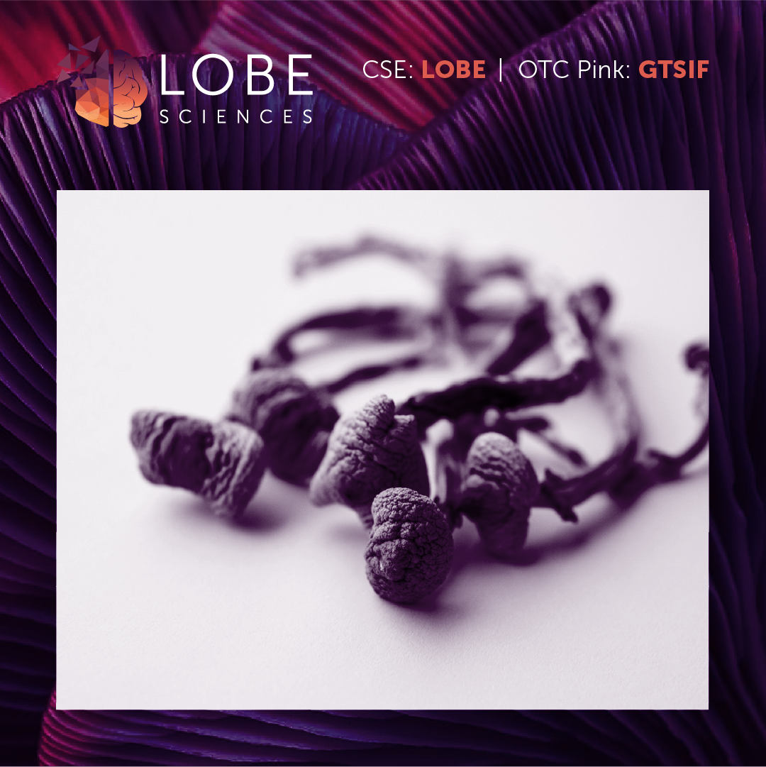 Lobe Sciences partners with iNGENū for new clinical trials in Australia ...