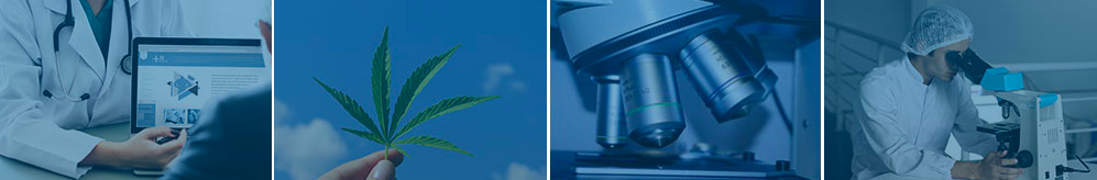 Tilray receives approval for CBD oral solution in Australia and New ...