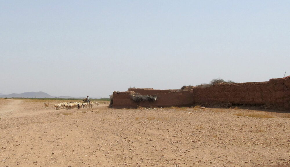 West Vault Mining partnership with Arid Lands Research Fund displays ...