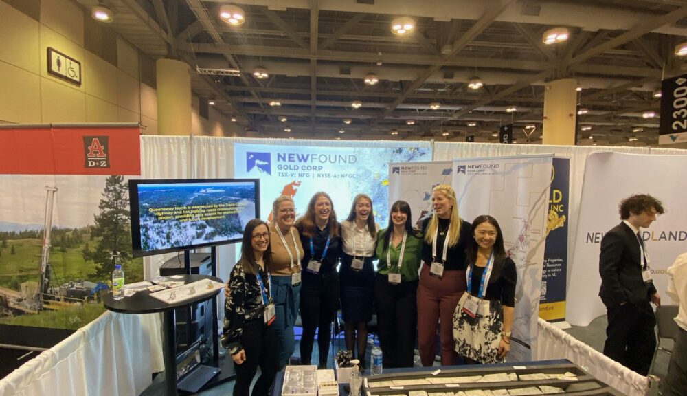 New Found Gold finds significant high grade gold at Queensway project ...