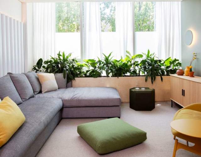 Numinus Wellness launches psychedelic-assisted therapy program for ...