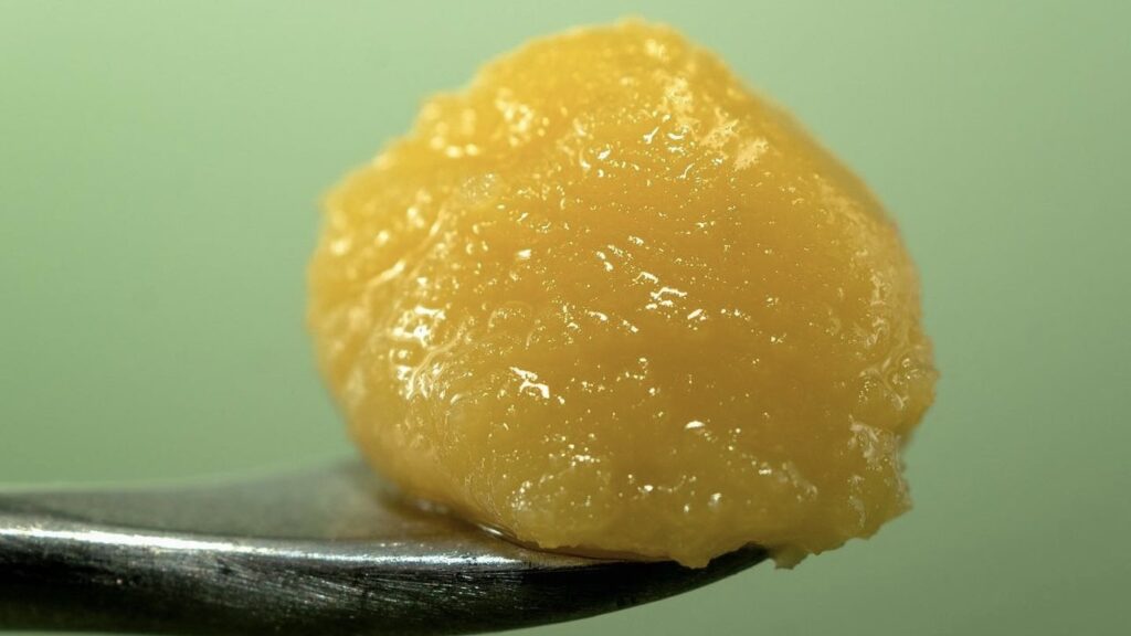 TerrAscend acquires Maryland dispensary for US$22.1M - Mugglehead ...