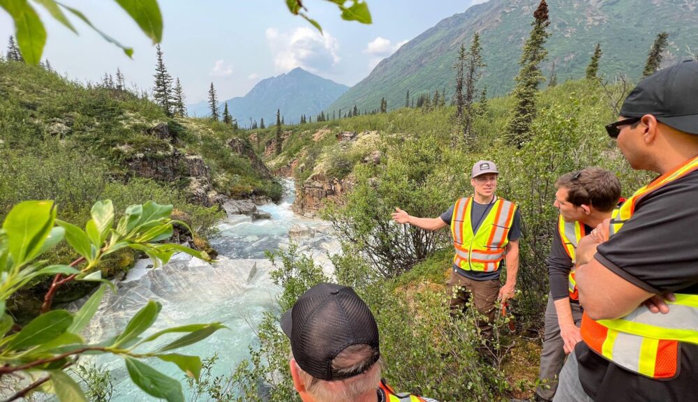 Snowline Gold discovers high grade gold intercepts in the Rogue Project ...