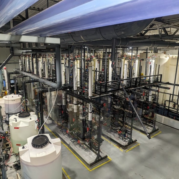 Defense Metals and Ucore Rare Metals collaborate on rare earth element ...