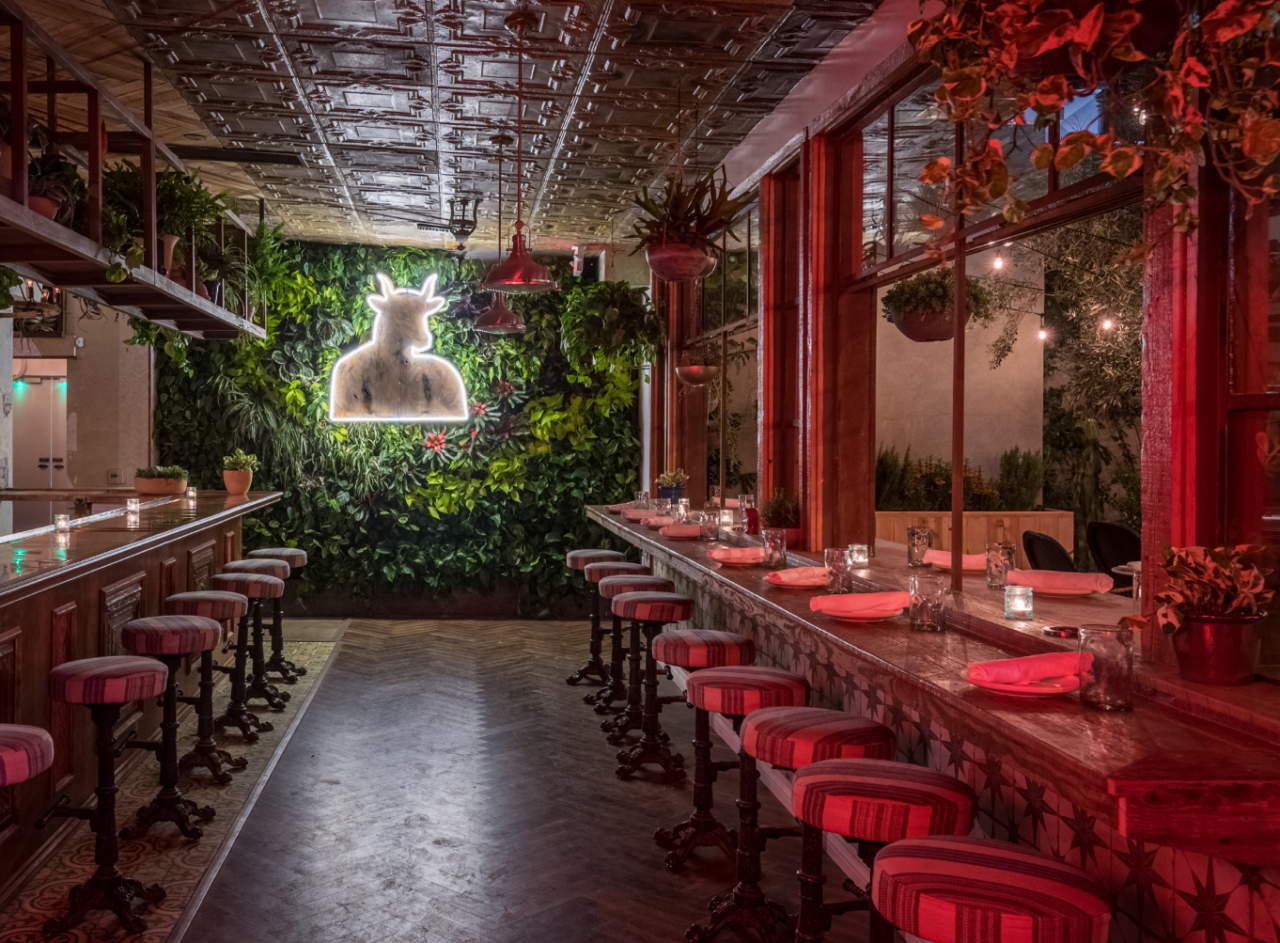 OG Cannabis Cafe: Blending culture, cannabis, and community ...