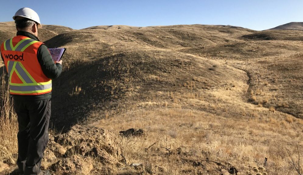 Phenom Resources inks four year option for King Solomon Gold Project in ...