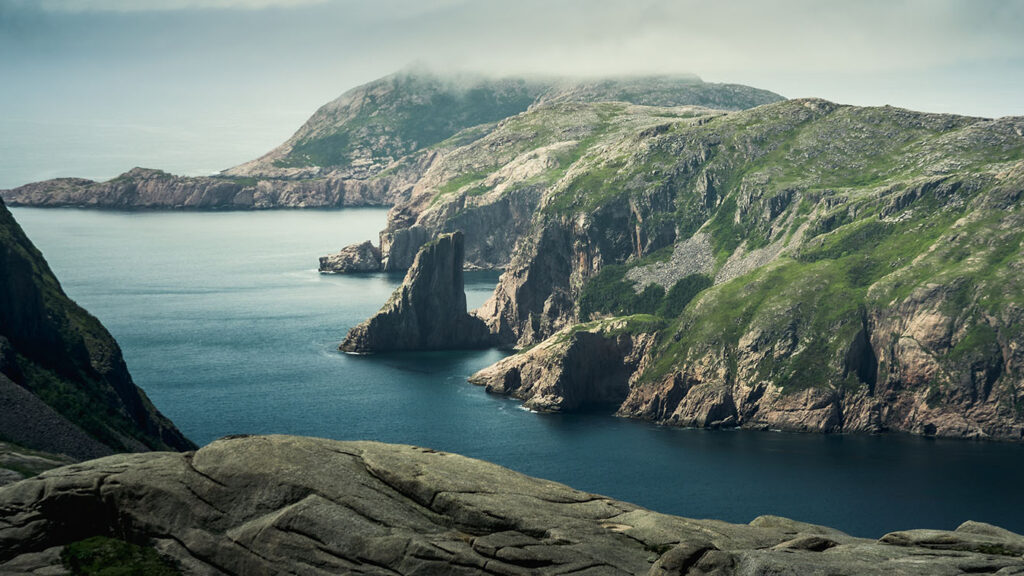 Gander Gold finds strong gold mineralization in Gander North ...