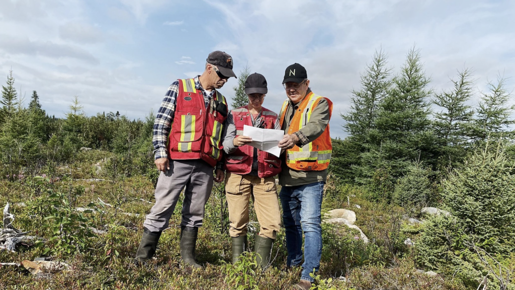 Newfoundland prospectors group tours Great Atlantic's tungsten-emerald ...