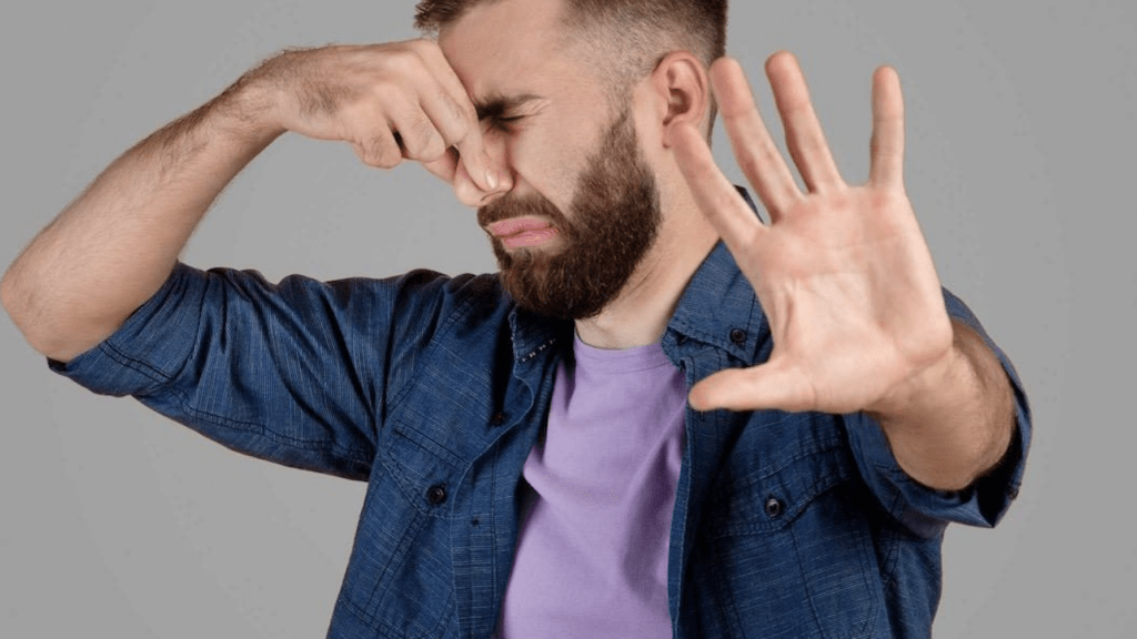 Potent skunky smell emanating from New York cannabis farm alarms locals ...