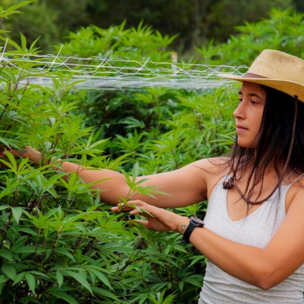 Home - Mugglehead Magazine