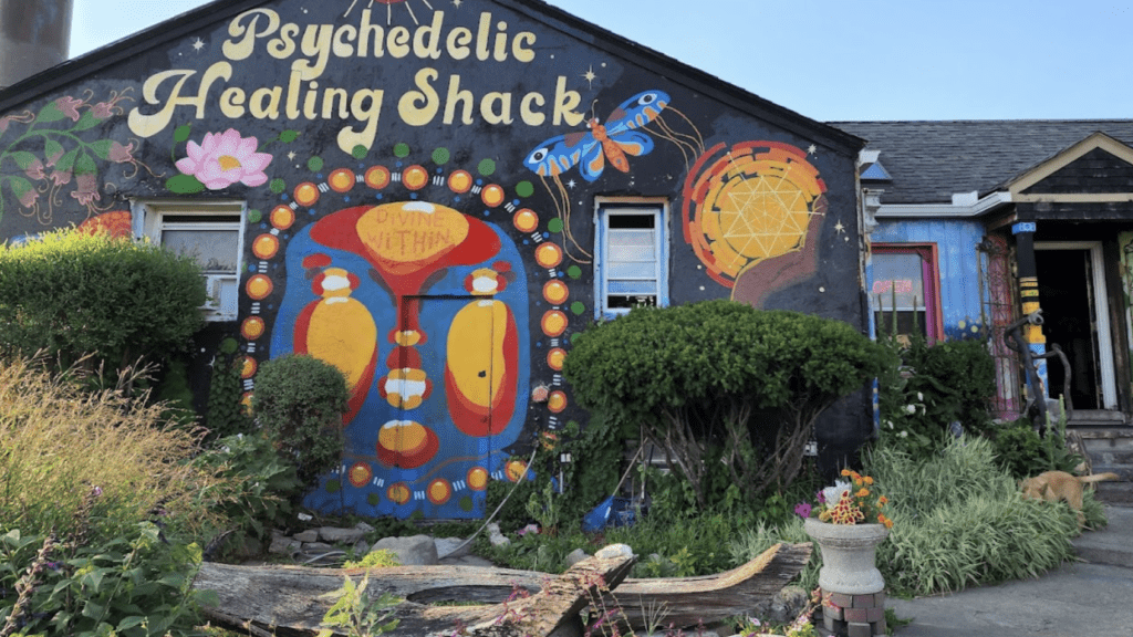 Detroit's 'Psychedelic Healing Shack' determined to open back up after ...