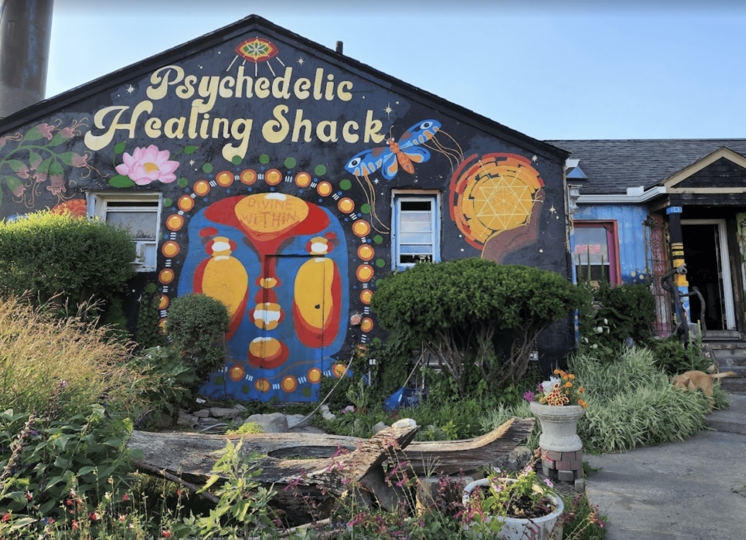 Detroit's 'Psychedelic Healing Shack' determined to open back up after ...