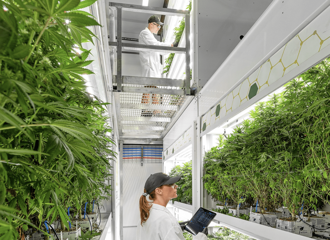 Agrify sells cultivation business to enhance focus on infused beverage ...