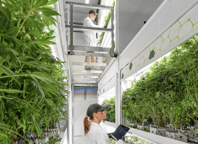 Agrify sells cultivation business to enhance focus on infused beverage ...