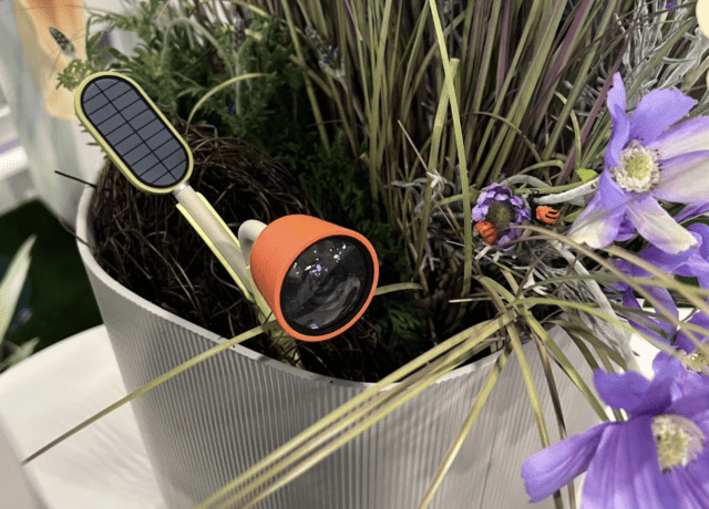 Bird Buddy spreads its wings with new insect observation tech ...