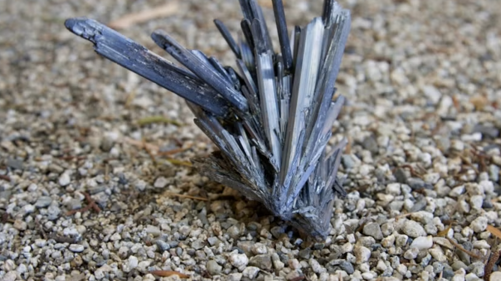 Global Tactical Metals pulls Nevada grab sample with 17.7% antimony ...