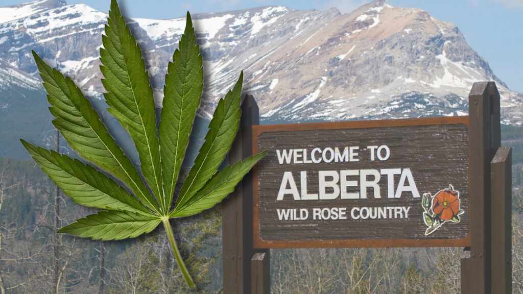 Alberta now permits cannabis sales at events where minors are present ...