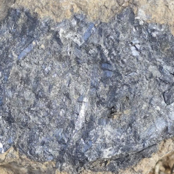 Solidus Resources secures approval to construct and operate Nevada gold ...