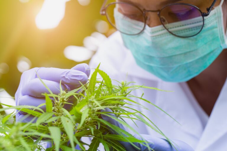 Cannabis stocks swing wildly on U.S. rescheduling news - Mugglehead ...